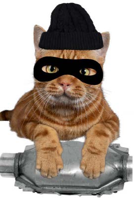 Cat Security - L & M Automotive Service Center